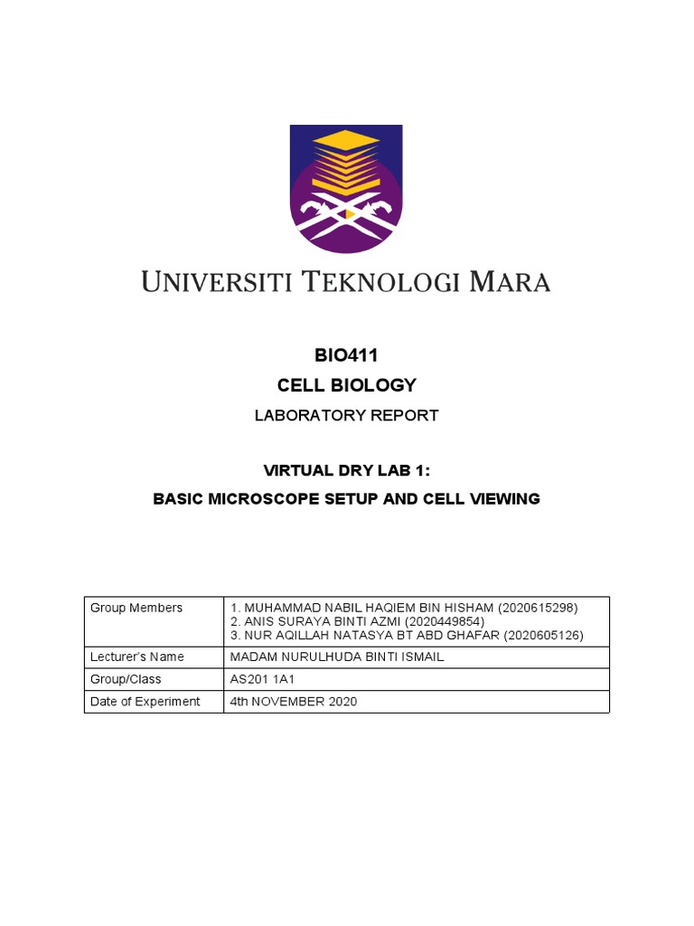 Bio411 Lab Report 1 | Download Free PDF | Staining | Microscopy