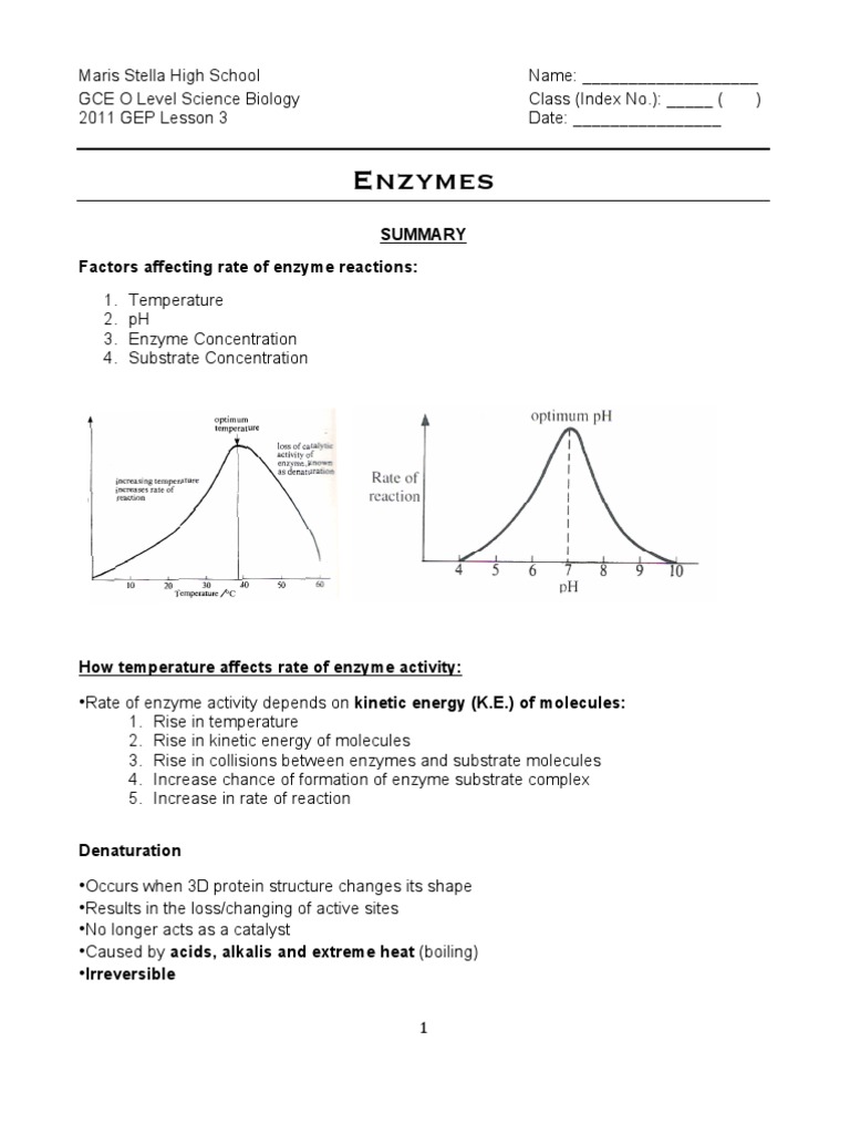 GEP Worksheets Enzymes | PDF | Substrate (Chemistry) | Enzyme