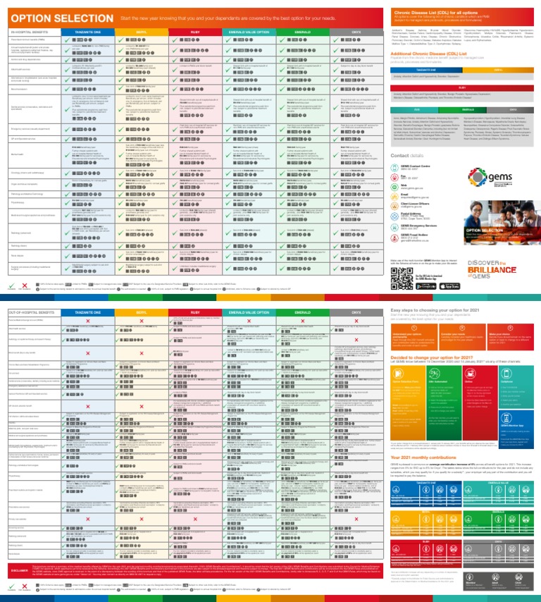 GEMS Medical Aid Options Overview 2023 | PDF | Physical Therapy ...
