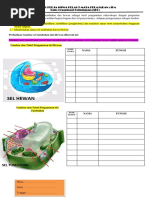 Spesialisasi Sel | PDF