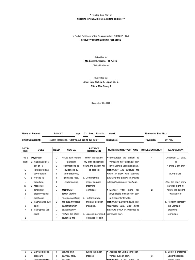 A Nursing Care Plan On: Normal Spontaneous Vaginal Delivery | PDF ...