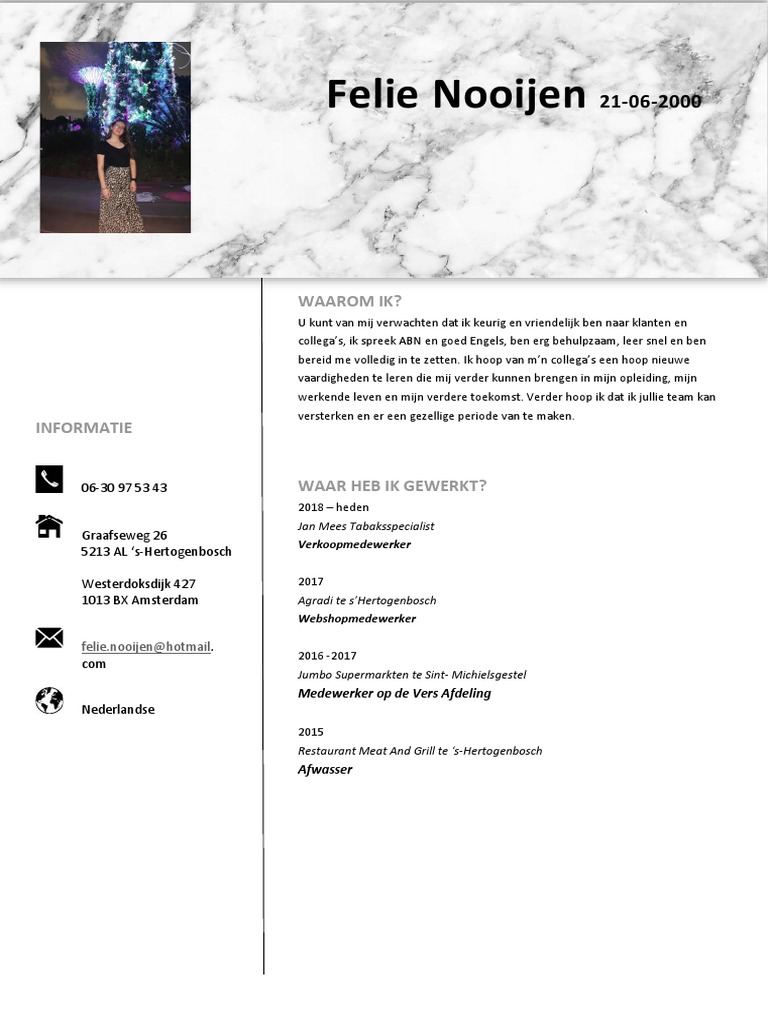 CV 2021 | PDF