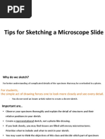 How to Create Annotated Diagrams | PDF | Drawing | Leaf
