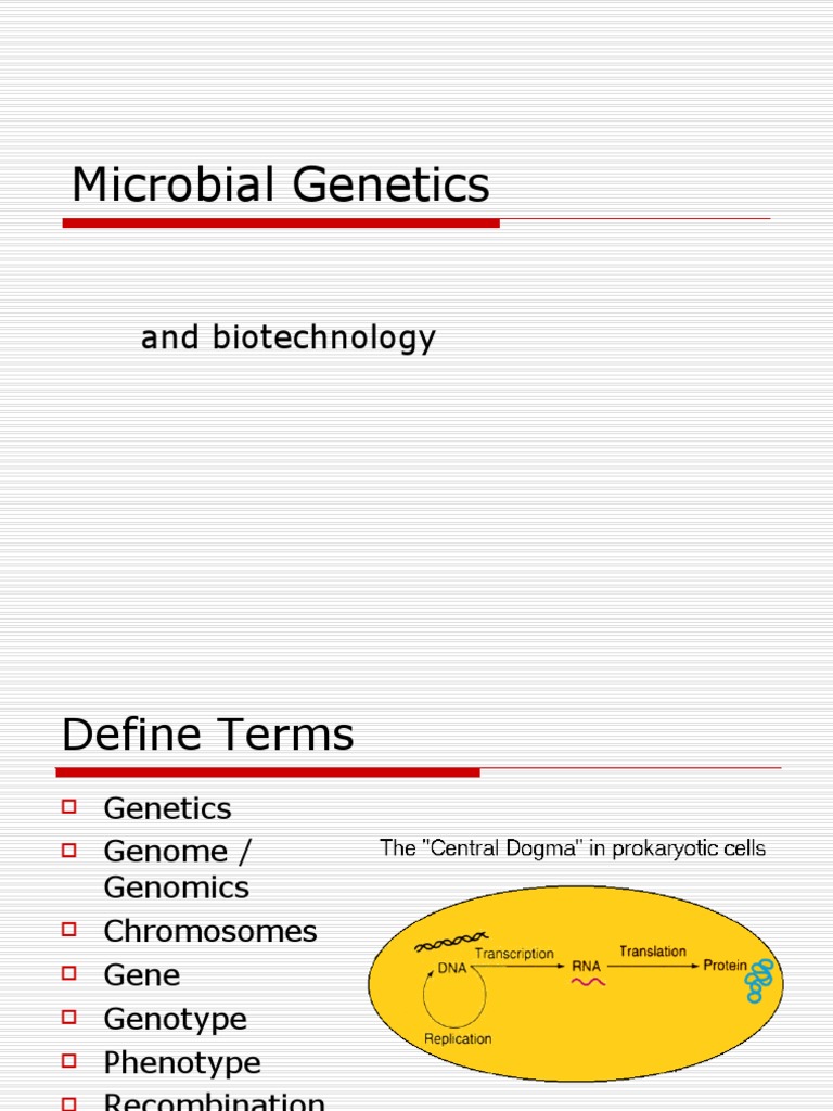 Microbial Genetics: and Biotechnology | PDF