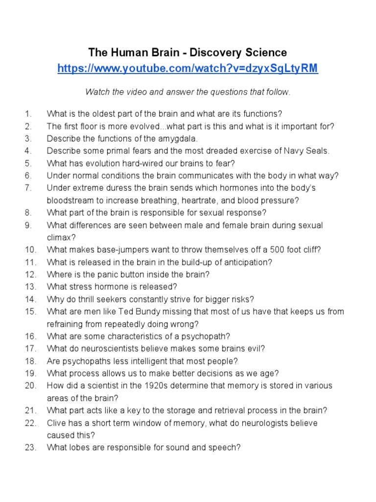 The Human Brain | PDF | Human Brain | Brain