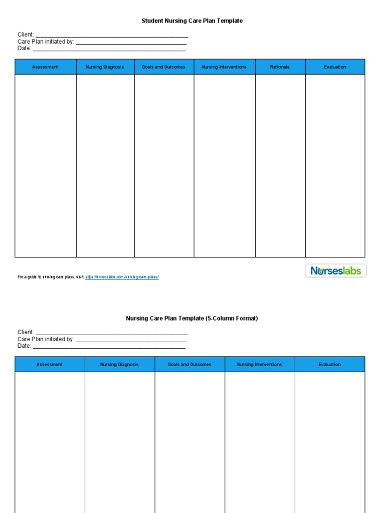 Nursing Care Plan Templates and Formats | PDF