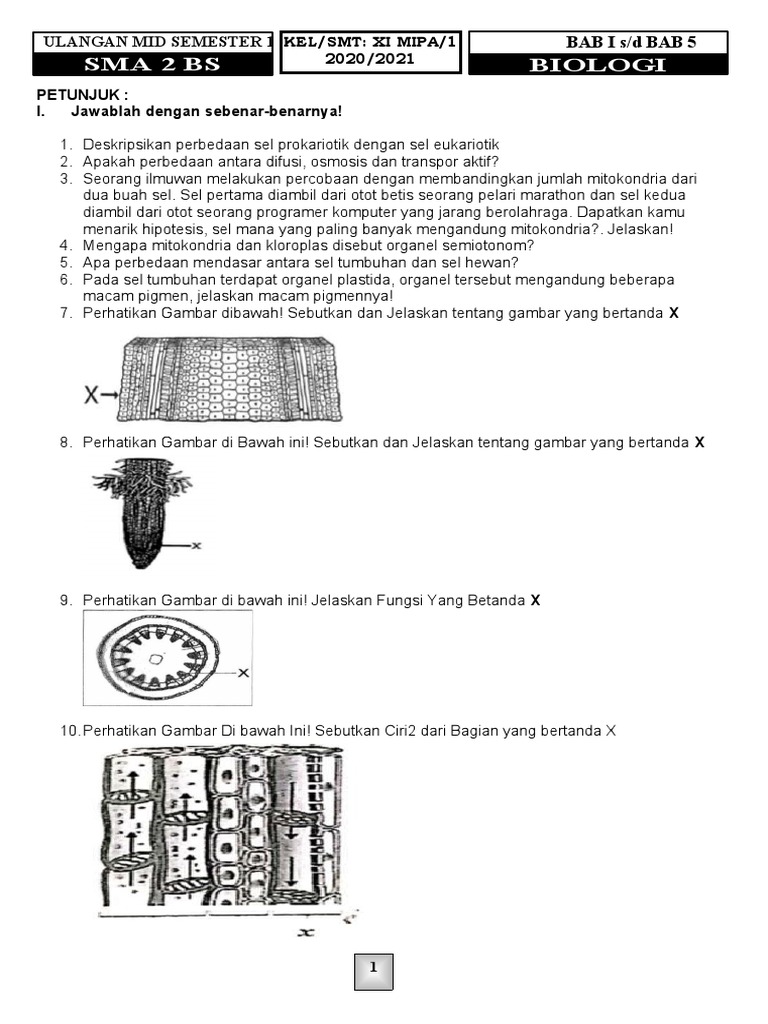 Ulangan Semester 1 Biologi 20192020 | PDF