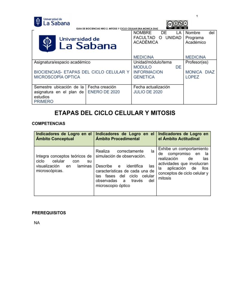 Guia de Mitosis y Ciclo Celular | PDF | Mitosis | Cromosoma