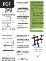 Introduccion A Las Amidas Definicion y Grupos Funcionales | PDF | Amida | Hidrólisis