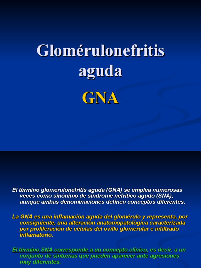 Glomérulo | PDF | Inmunología | Ciencias de la Salud