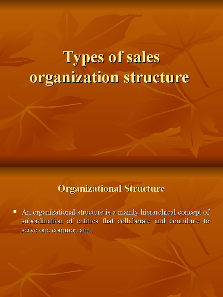 Types of Sales Organization Structure | Download Free PDF | Sales ...