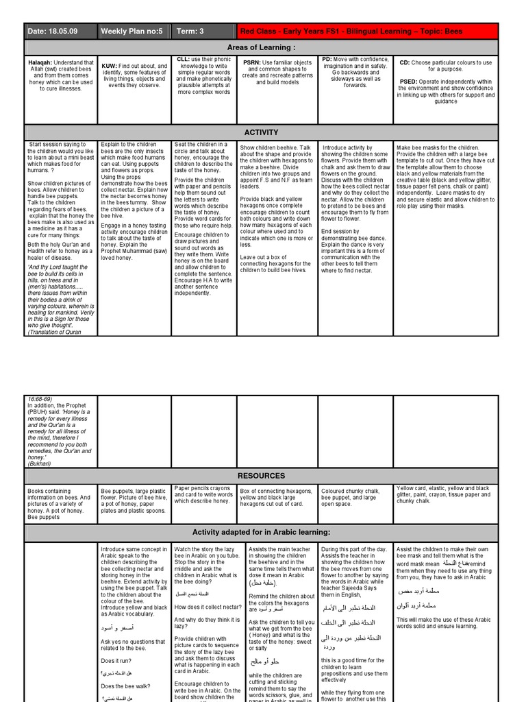 Bilingual Lesson Plan (PDF 68 KB) | PDF | Honey | Bees