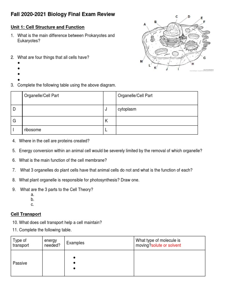 Fall 2020-2021 Biology Final Exam Review: Unit 1: Cell Structure and ...
