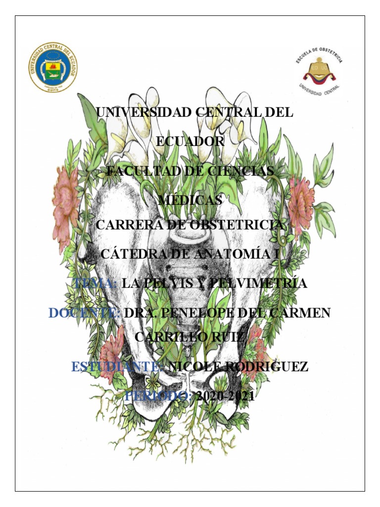 Tipos de pelvis y pelvimetría clínica | PDF | Pelvis | Sistema ...
