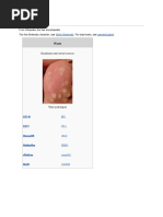 Favour Labels2 | PDF