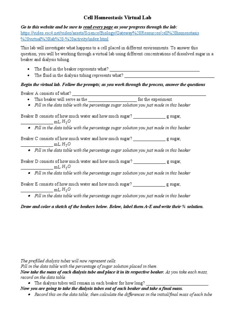 Cell Homeostasis Virtual Lab Guide | PDF | Mass | Chemistry