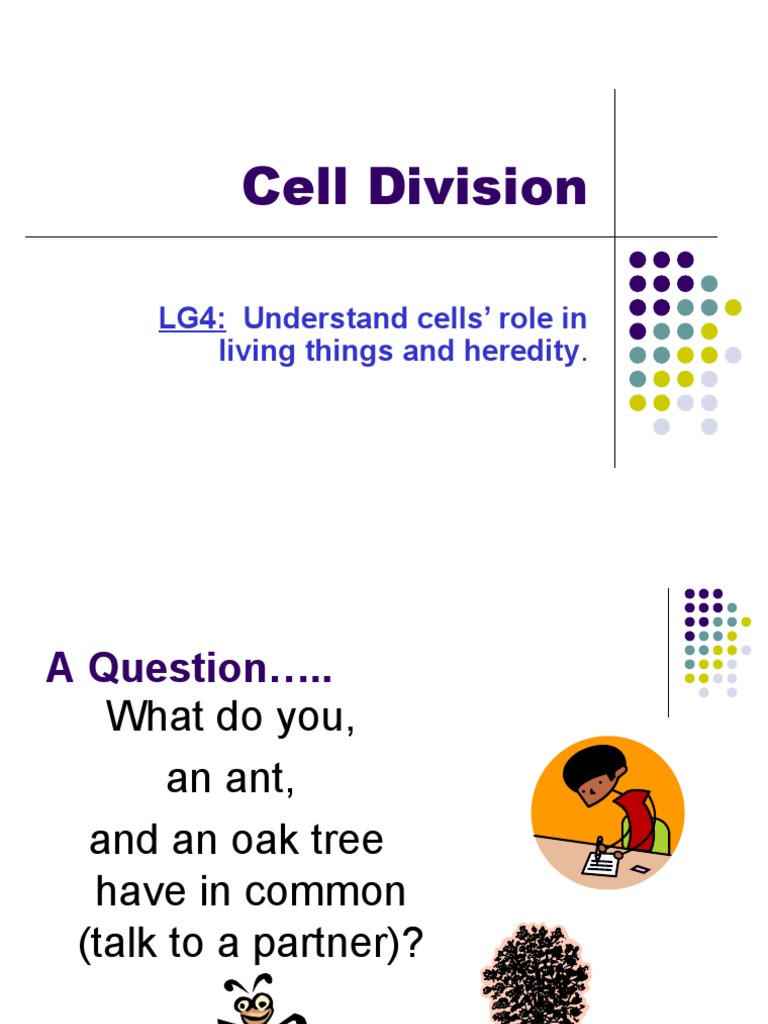 Cell Division Grade 8 | PDF | Meiosis | Mutation