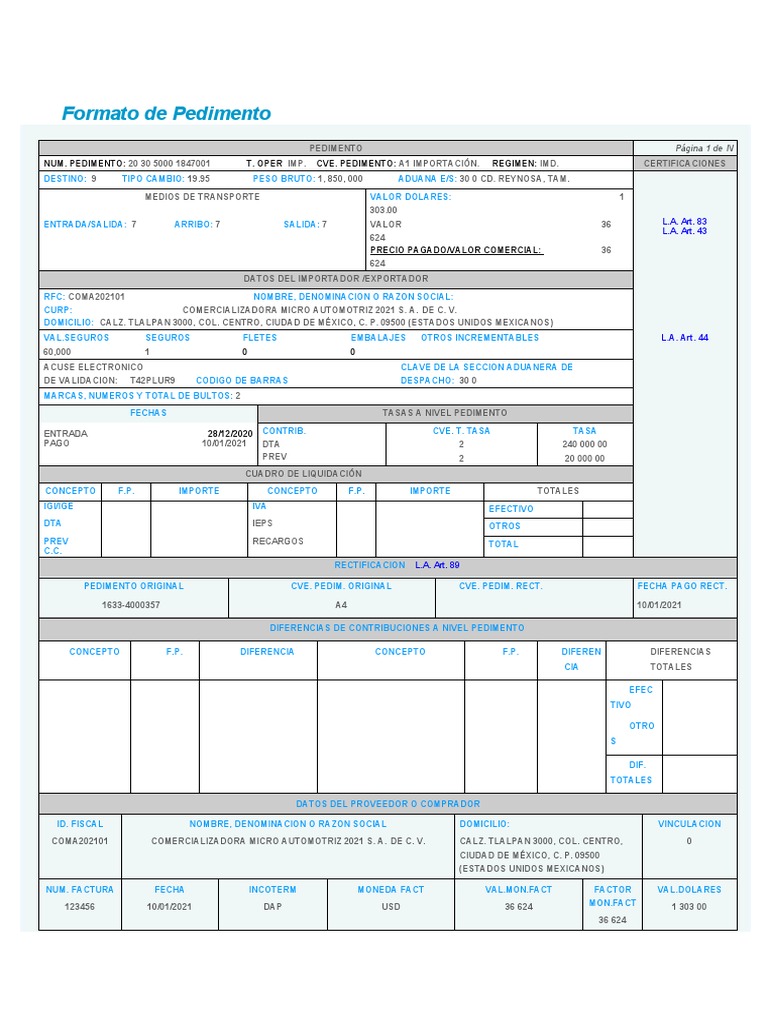 Formato Pedimento | PDF | Informática y tecnología de la información ...