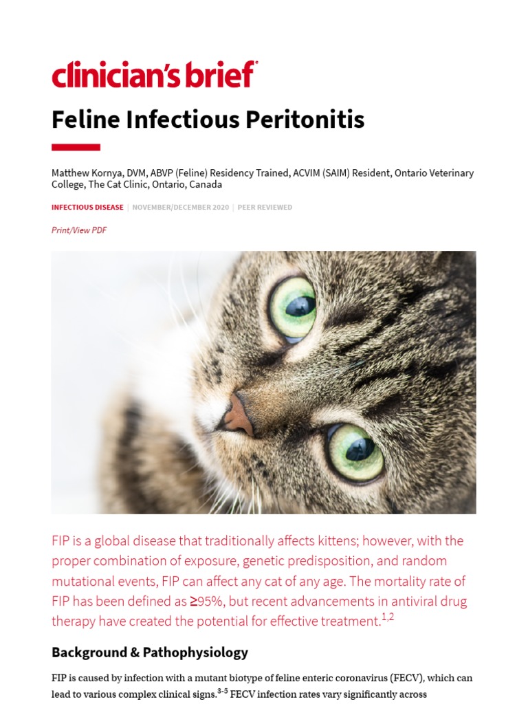 Understanding Feline Infectious Peritonitis | PDF | Health Sciences ...