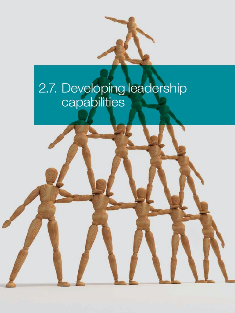 2.7. Developing Leadership Capabilities | PDF | Leadership | Mentorship