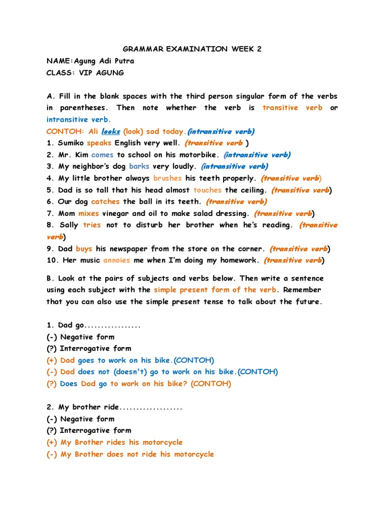 Grammar Examination Week 2 | PDF | Verb | Linguistic Morphology