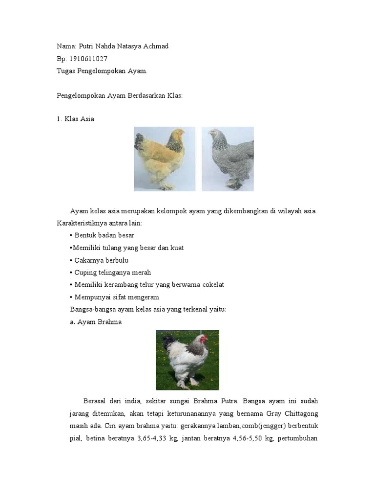 Tugas 1 IPT Unggas - Putri Nahda Natasya - 1910611027-Dikonversi | PDF