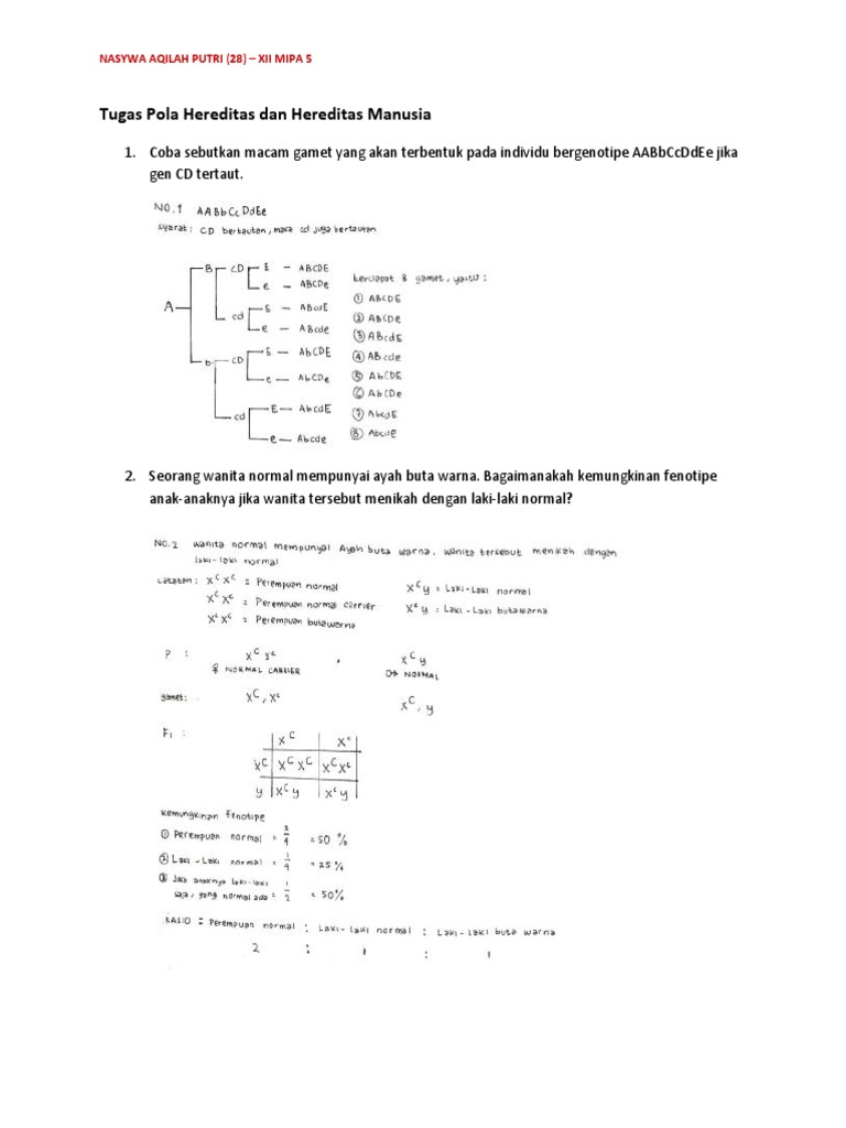 Tugas Hereditas XII MIPA 5 - NASYWA AQILAH PUTRI (28) XII MIPA 5 | PDF