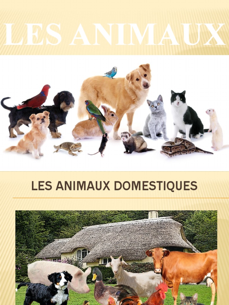 Description des animaux domestiques et sauvages | PDF
