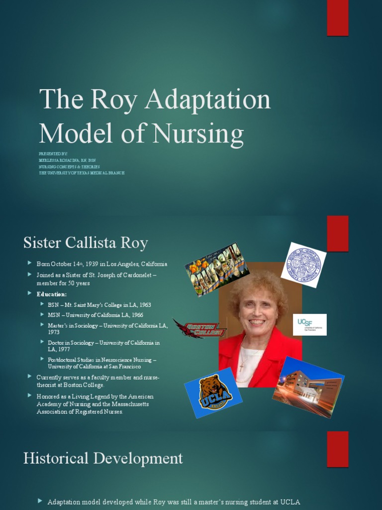 The Roy Adaptation Model | PDF | Nursing | System
