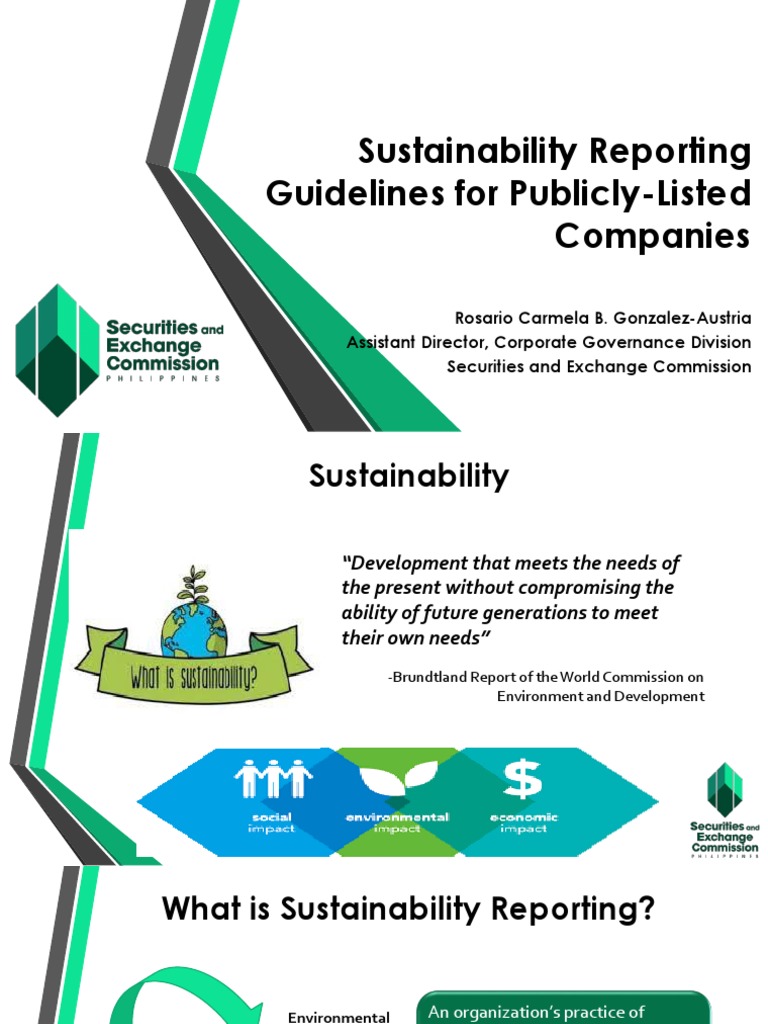 01 - Sustainability Reporting Guidelines For Publicly-Listed Companies ...