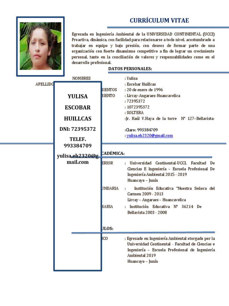 CURRÍCULUM VITAE - Yulisa Escobar Huillcas | Descargar gratis PDF ...