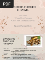 Daftar Nama Obat Fitofarmaka | PDF