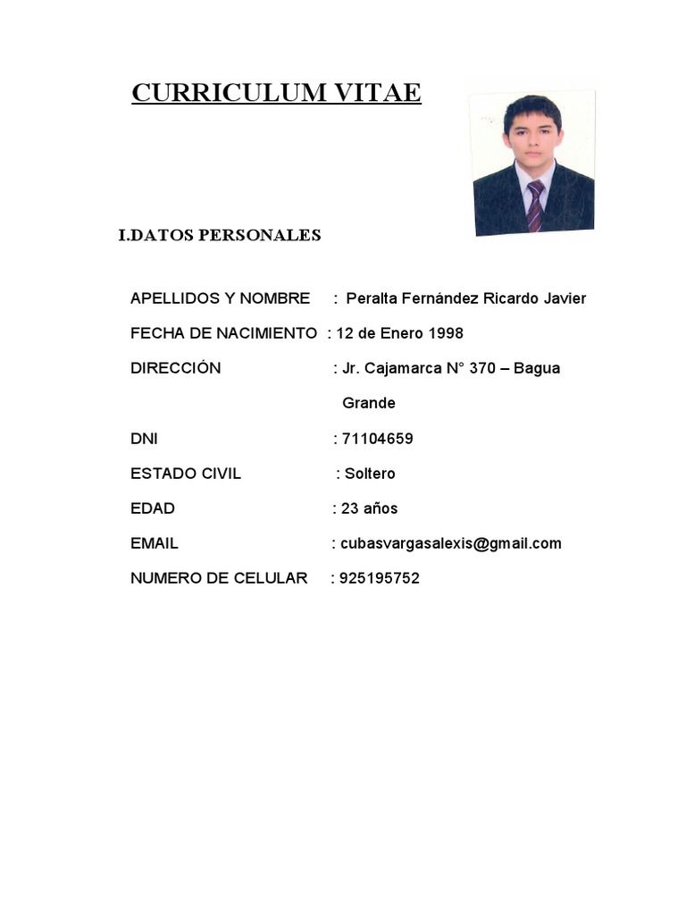 Curriculum Vitae Ricardo | PDF