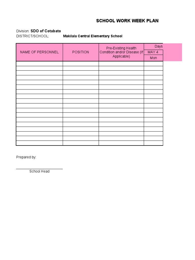 School Work Week Plan | PDF