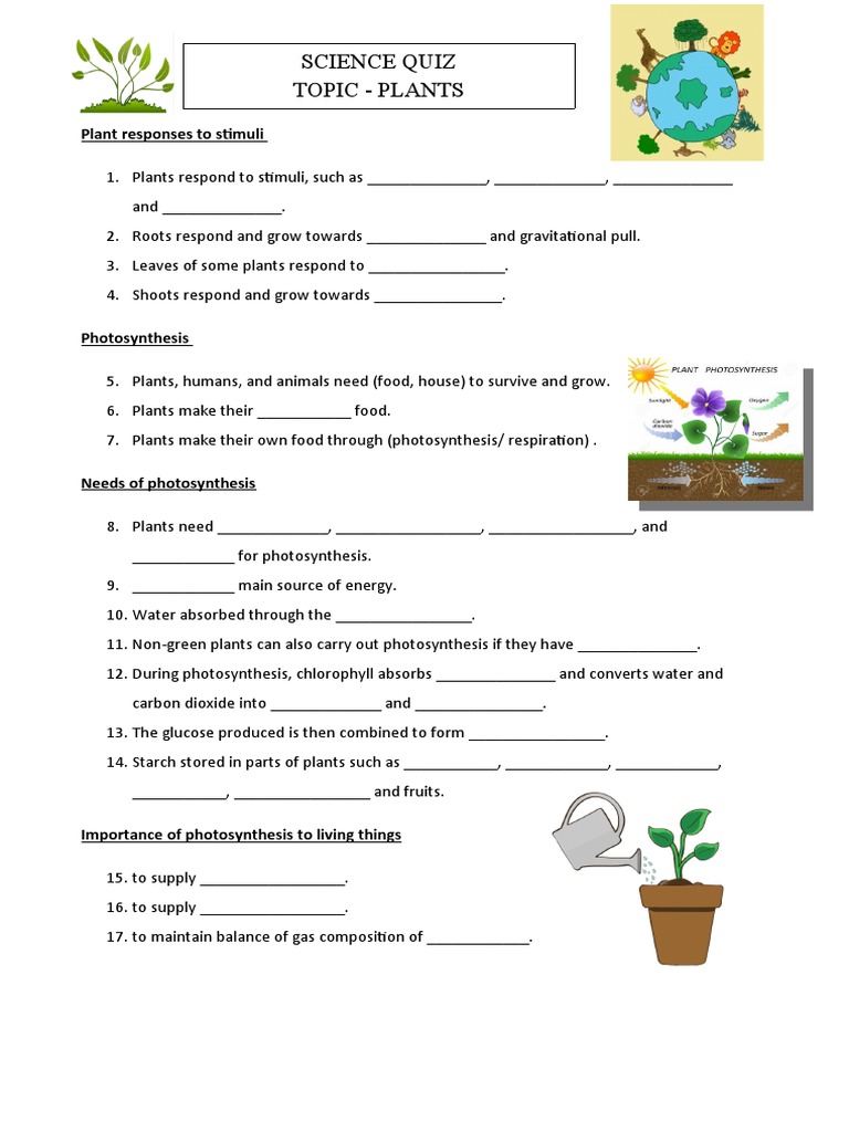 Plant Responses To Stimuli - Quiz - Lalitha | PDF