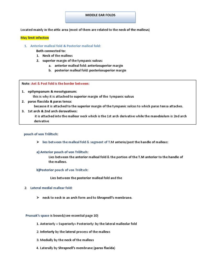 Mucosal Folds of Middle Ear | PDF | Ear | Neck