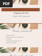 Ryzup 40 SG Hhoja de Seguridad | PDF | Agua | Toxicidad