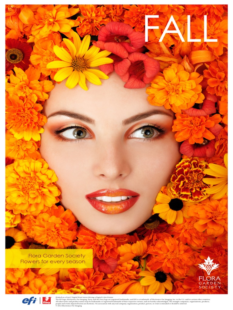 Fiery FS100-Pro SAMPLE Fall 11x17 PDF | PDF