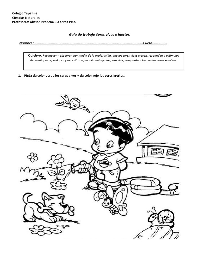 Guia de Trabajo Seres Vivos e Inertes | PDF | Salud y bienestar