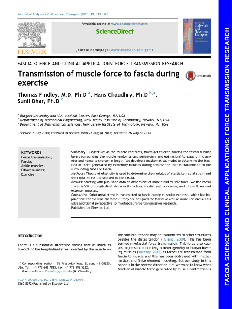 Muscle Fascia and Strength | PDF | Extracellular Matrix | Muscle