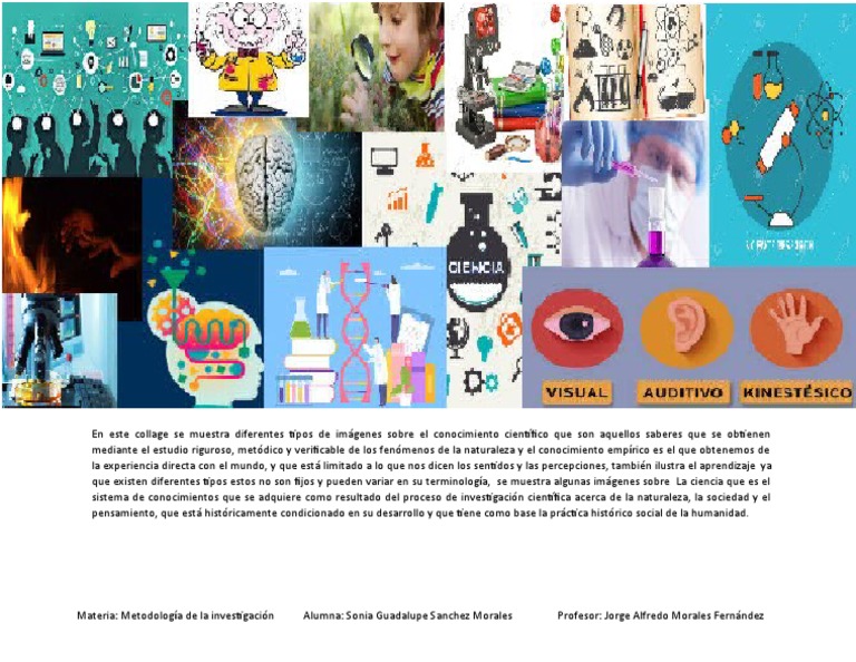 Collage Actividad 1 | PDF