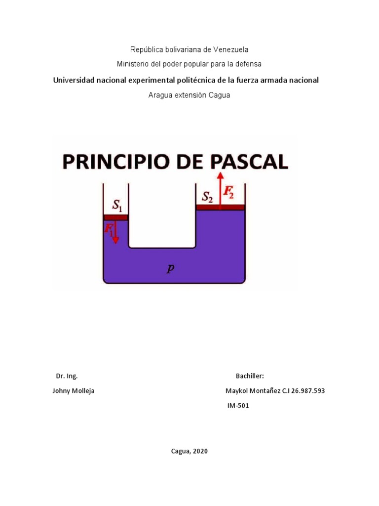 Principio de Pascal | PDF | Presión | Líquidos