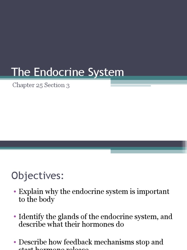 Endocrine System CH 25-3-7th | PDF | Endocrine System | Hormone