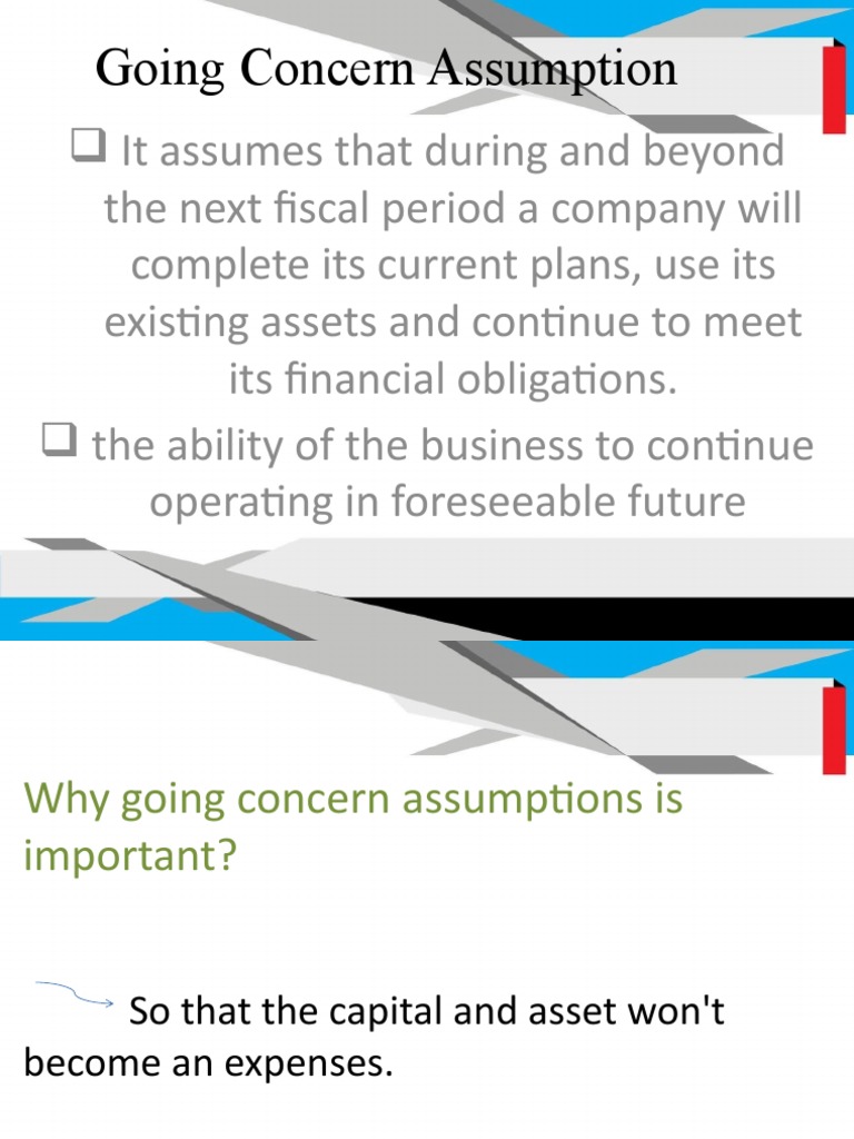 Going Concern Assumption | PDF