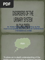 UTD Classification for Radiologists | PDF | Radiology | Urology