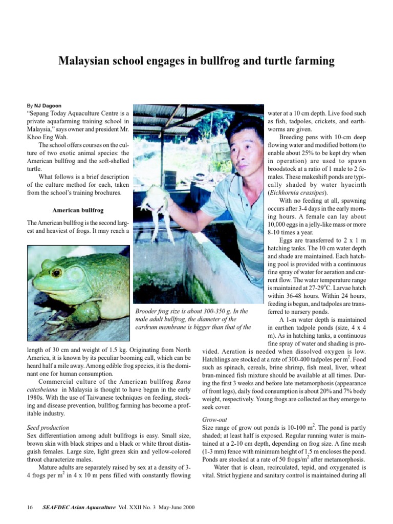 Malaysian Engages in Bullfrog and Turtle Farming | PDF | Turtle | Frog