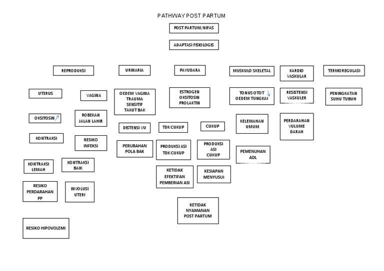 Pathway Post Partum | PDF
