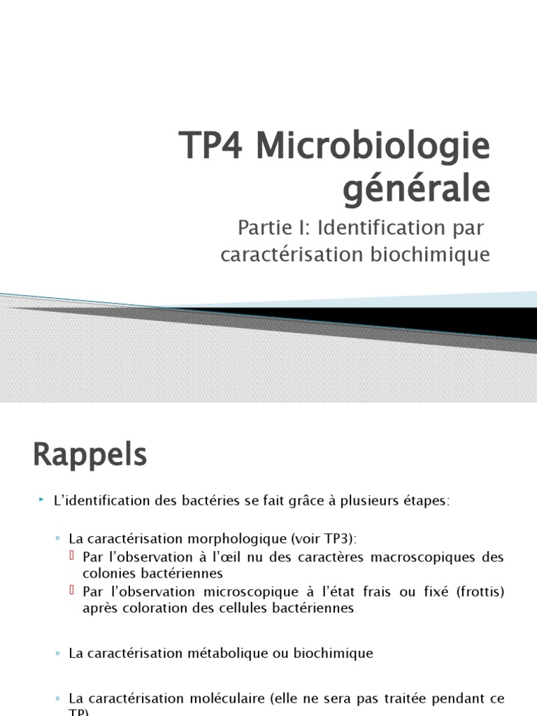 Identification Bactérienne Biochimique | PDF | Bactérie | Métabolisme