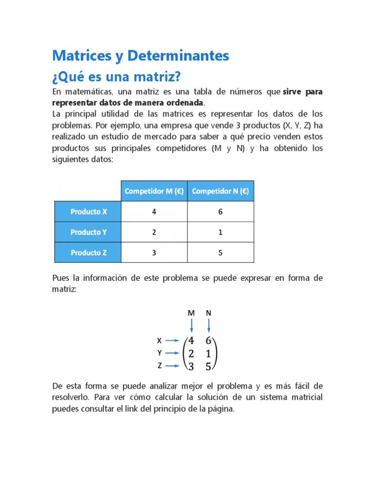 Matrices y Determinantes | PDF | Determinante | Matriz (Matemáticas)