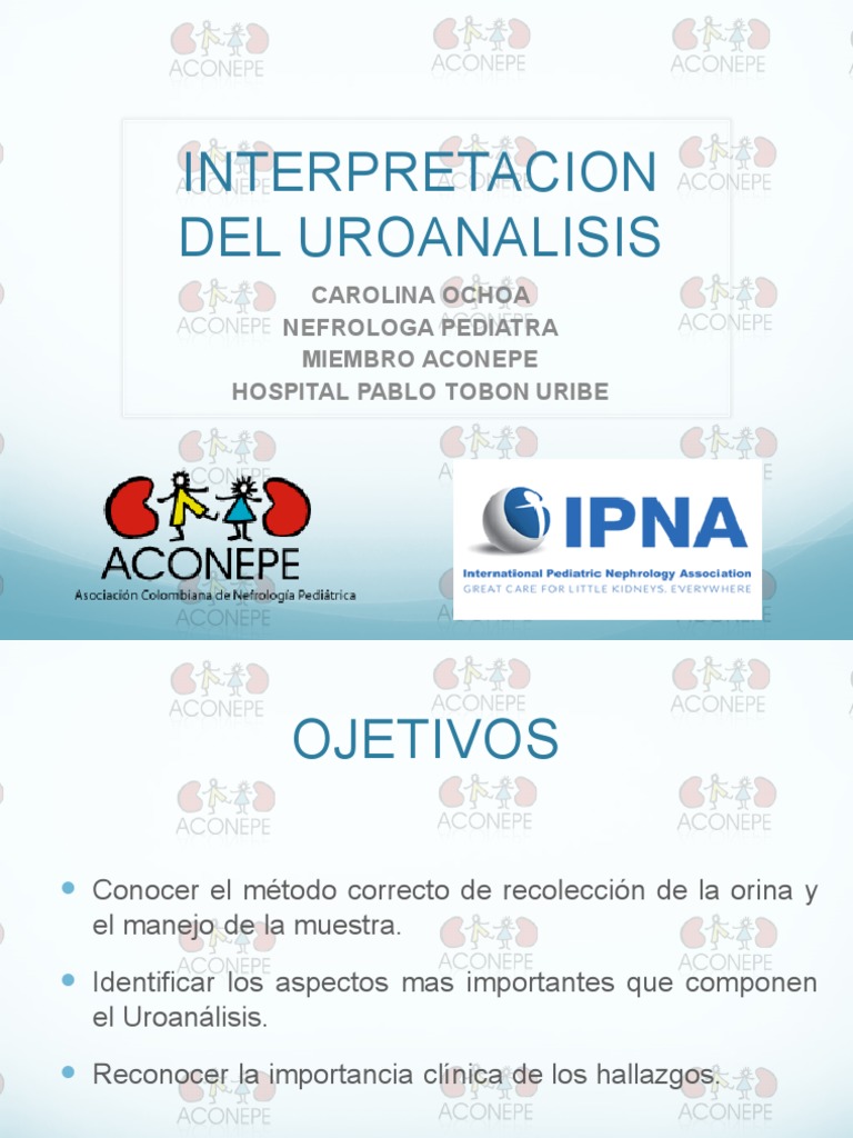 Interpretación Del Uroanálisis Clínico Pdf Sistema Urinario Orina